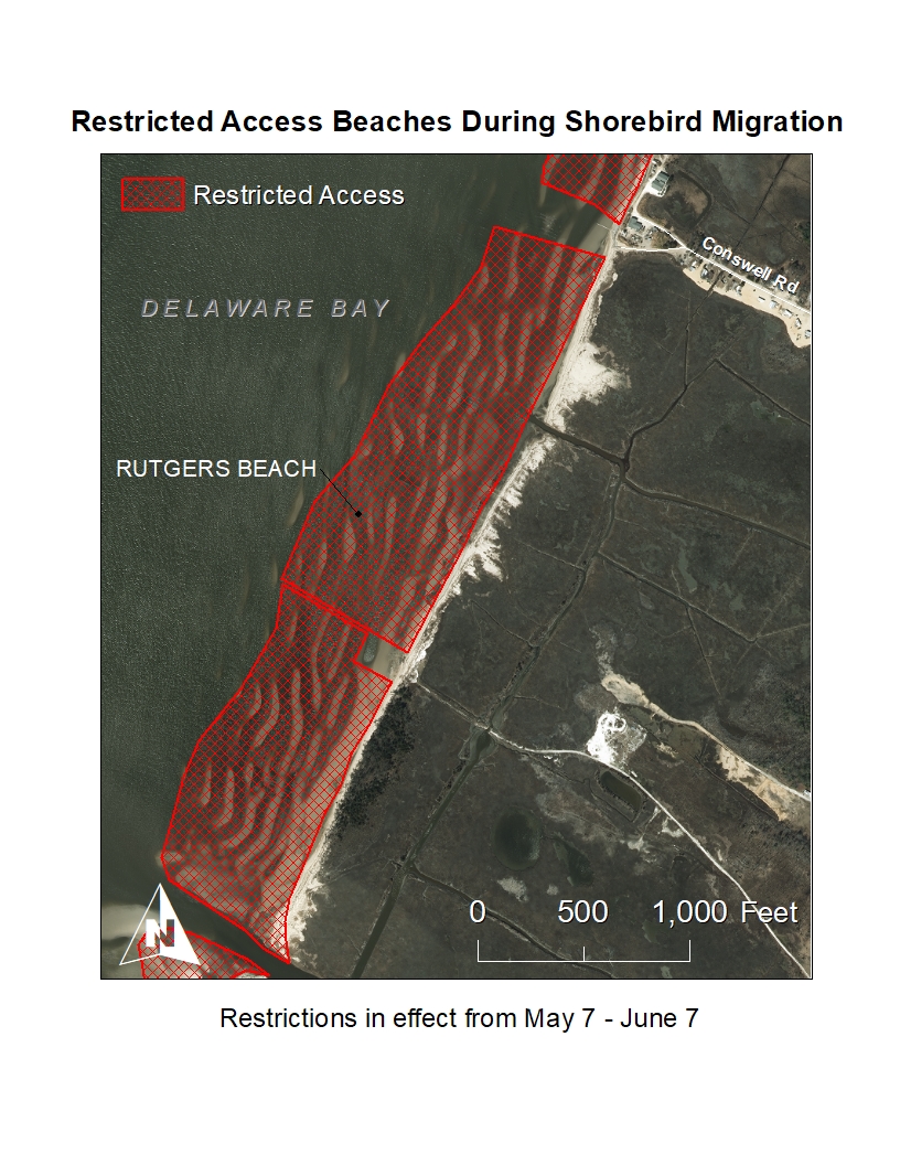 NJDEP| Fish & Wildlife | Seasonal Restricted Access Maps - Delaware Bay