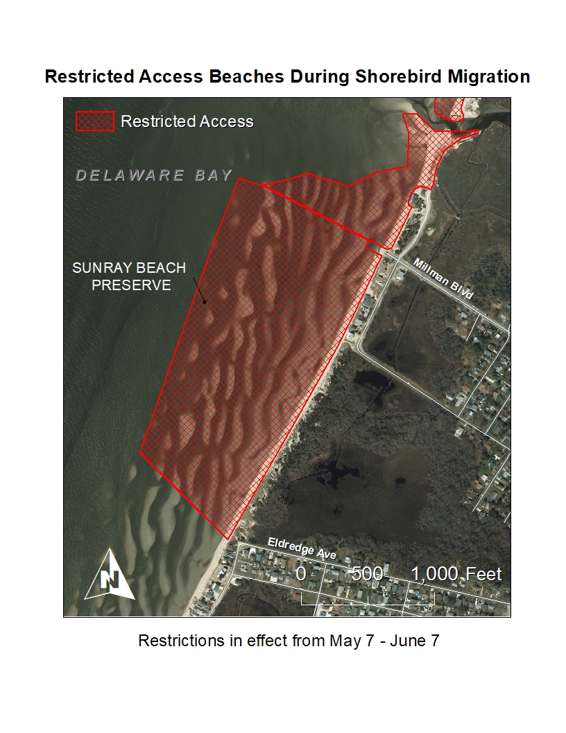 NJDEP| Fish & Wildlife | Seasonal Restricted Access Maps - Delaware Bay
