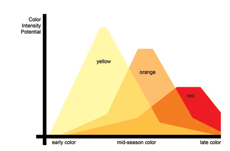 Department of Environmental Protection