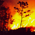 Department of Environmental Protection